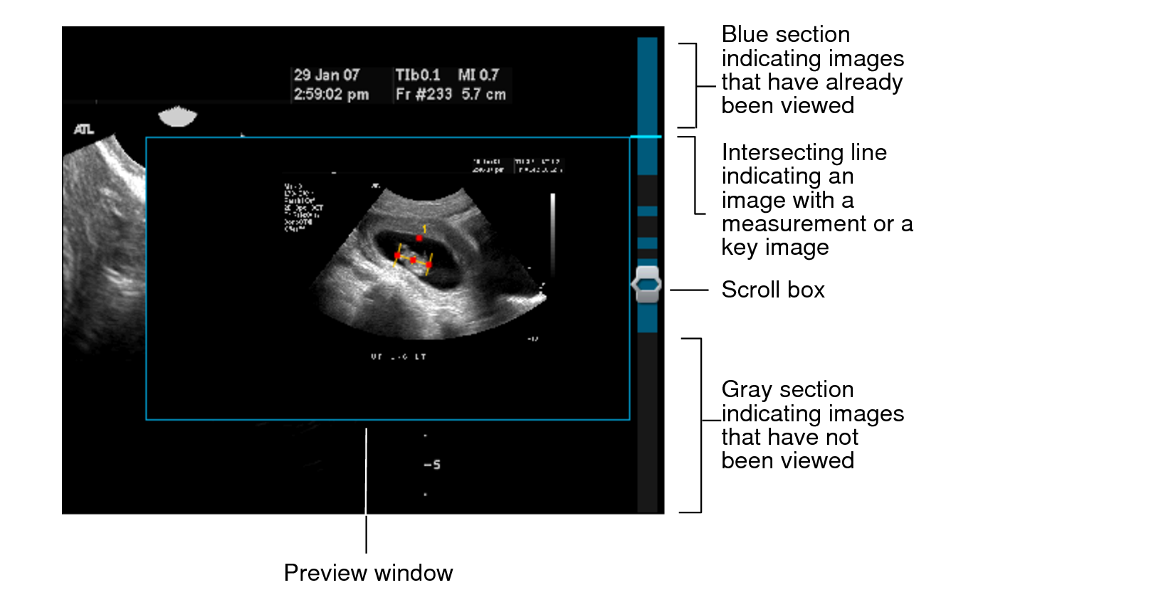 Scrolling through Images