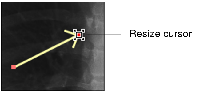 Creating Arrow Annotations